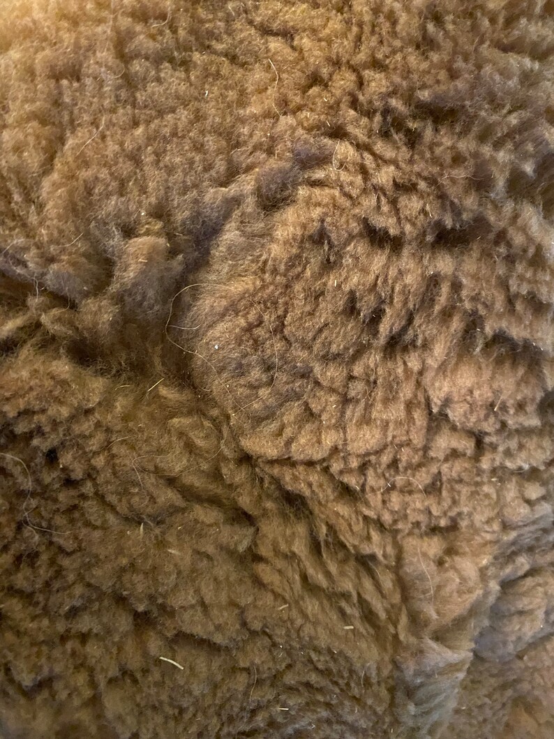 Soft Paco-vicuna Luxury Rare & Fine Wool - One Whole Raw Fleece Blanket ...