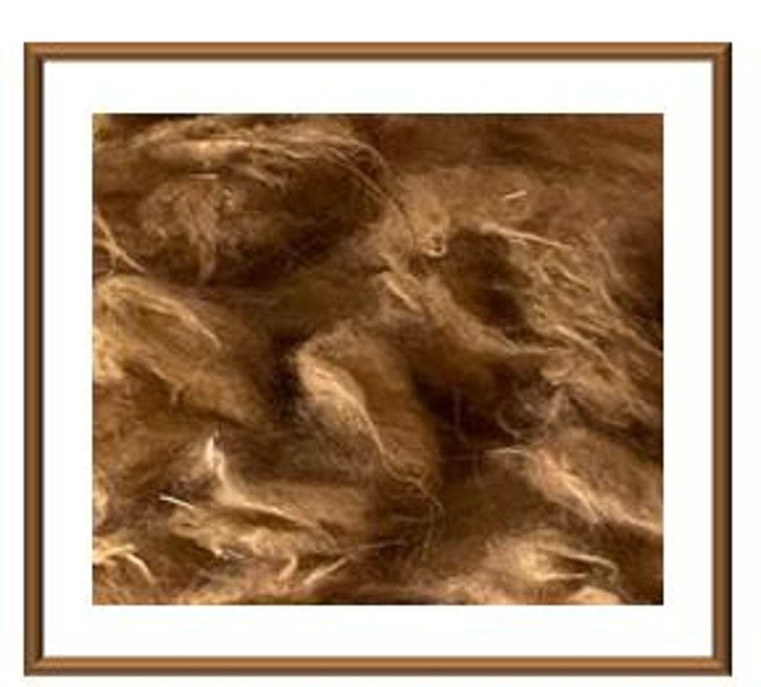 Soft Paco-vicuna Luxury Rare & Fine Wool - Raw Fiber Sample (5g) - A ...
