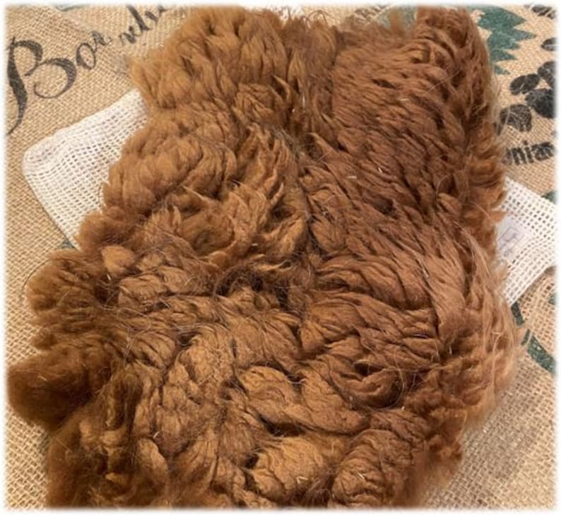 Soft Paco-vicuna Luxury Rare & Fine Wool - Raw Fiber (28g) - A Spinner ...