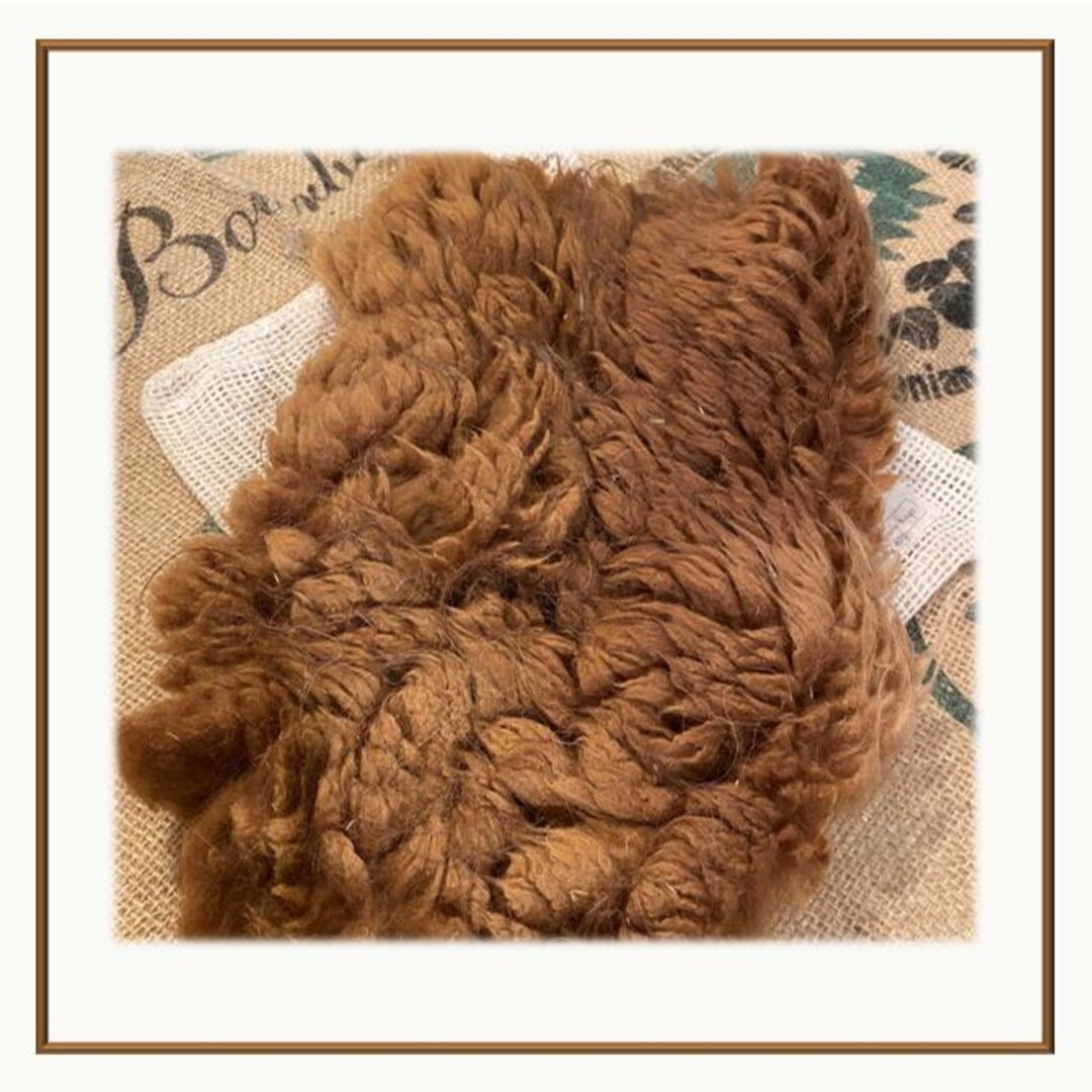 Soft Paco-vicuna Luxury Rare & Fine Wool Raw Fiber 28g A Spinner's and ...