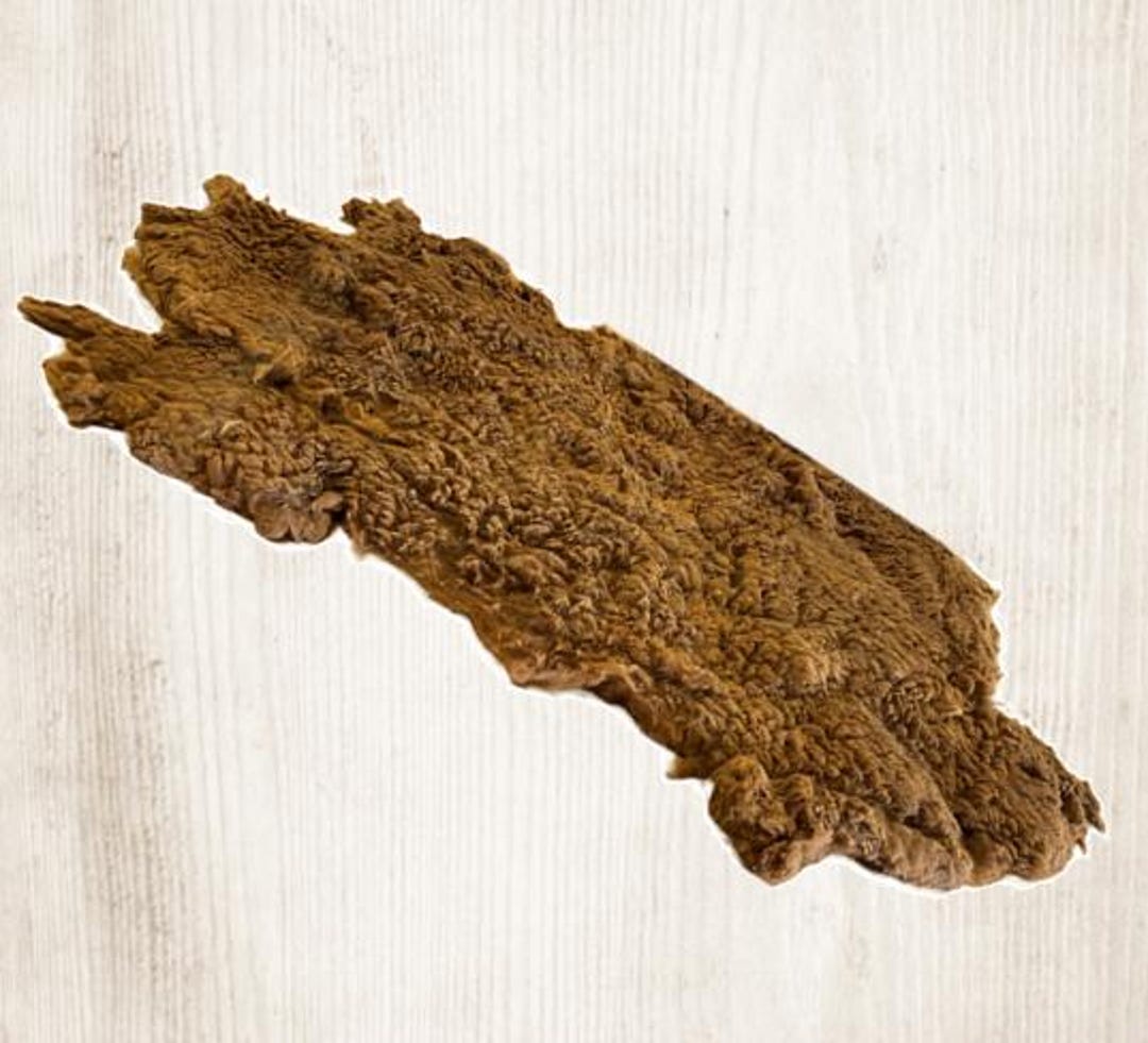 Soft Paco-vicuna Luxury Rare & Fine Wool - One Whole Raw Fleece - A ...