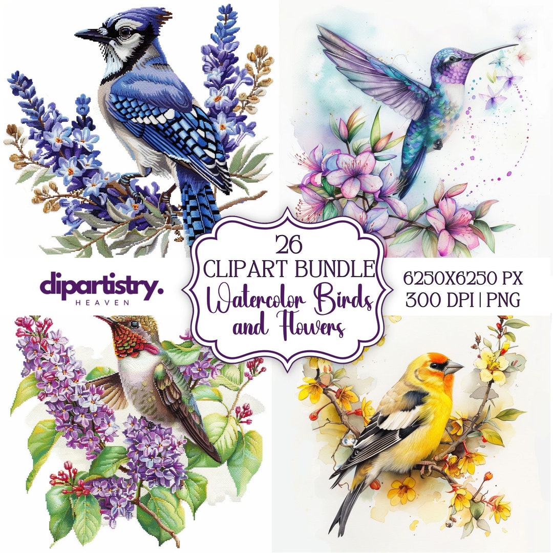 Watercolor Bird and Flower Clipart Colorful Spring Illustrations, Cute ...