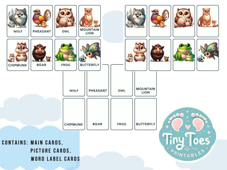 32 Wild Animals Flash Cards * Montessori Materials * Educational ...