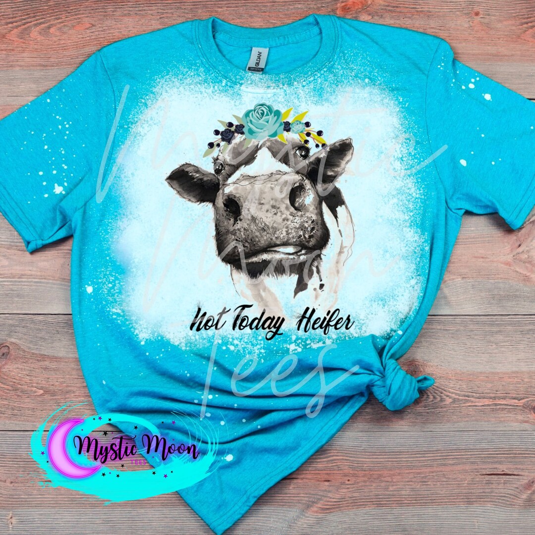 Not Today Hefier, Bleached Shirts, Shirts for Her, Graphic Tee, Plus ...