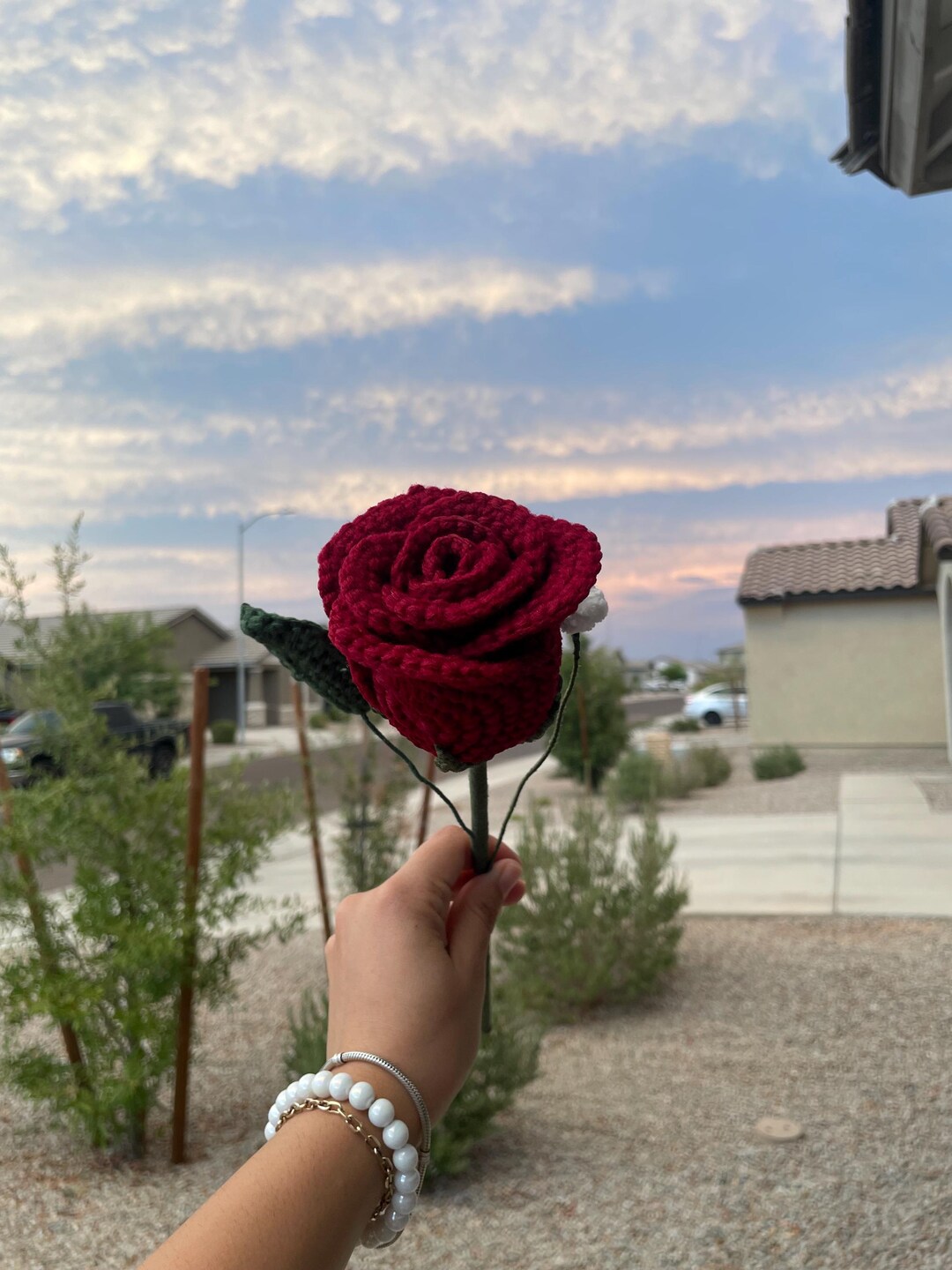 Single Forever Rose - Etsy