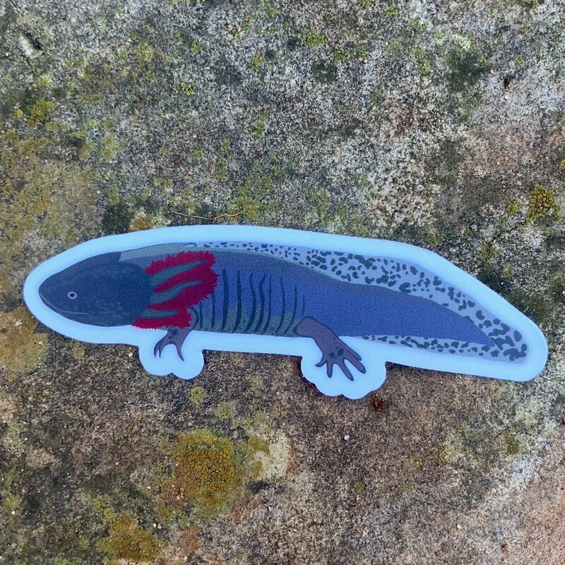 Axolotl Sticker - Etsy
