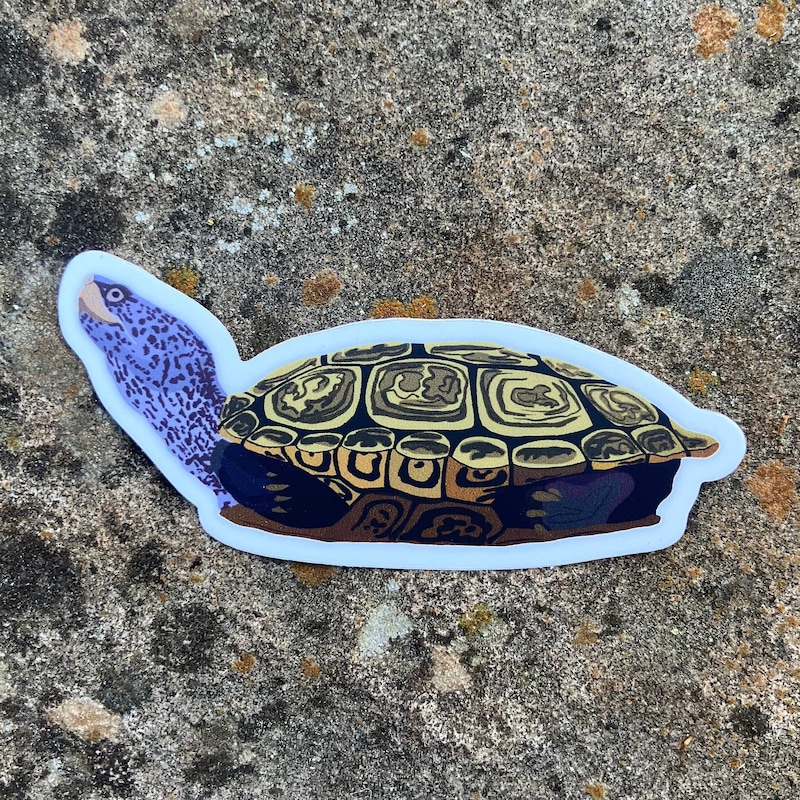 Terrapin Turtle - Etsy