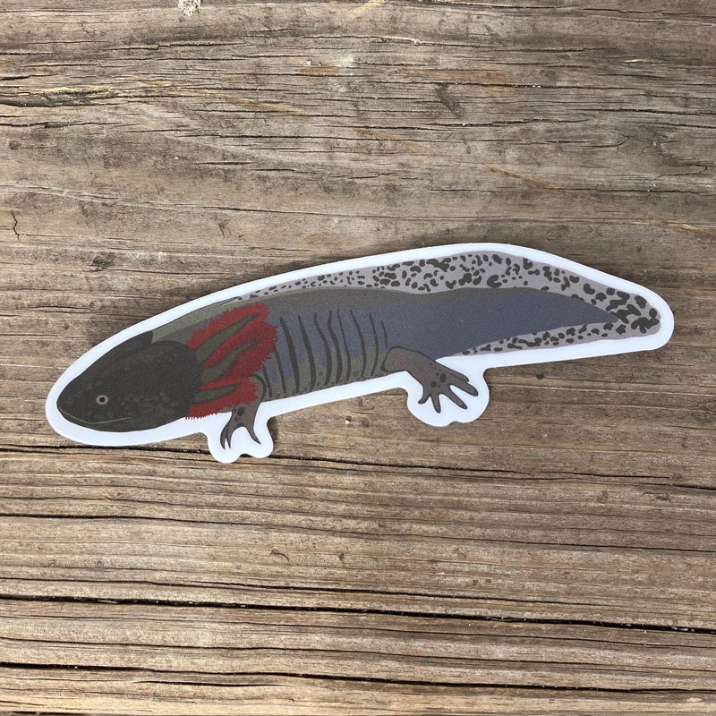 Axolotl Sticker - Etsy