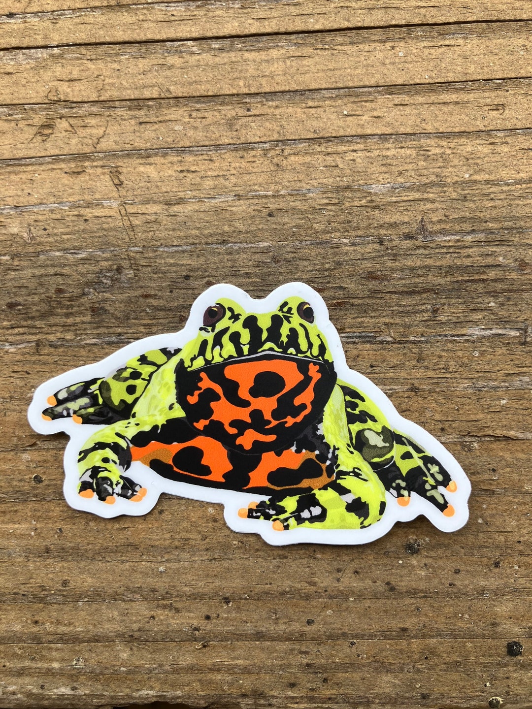 Fire-bellied Toad Sticker: Matte Vinyl Die Cut Decal - Etsy