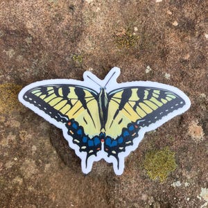 Eastern Tiger Swallowtail Sticker, Butterfly Vinyl Sticker - Etsy