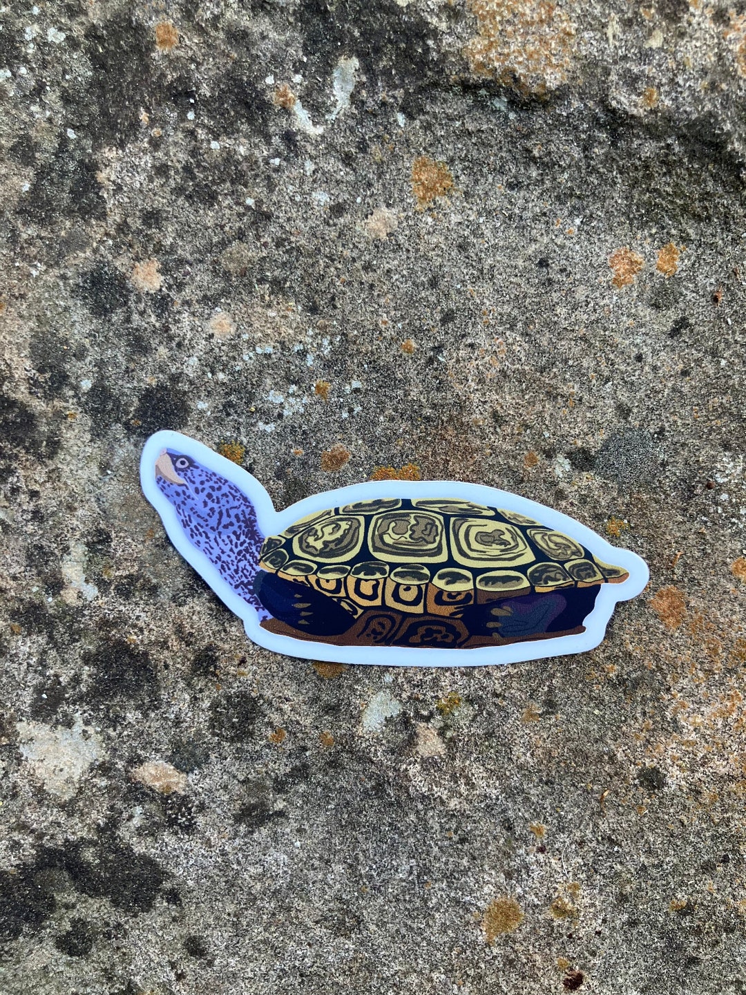 Diamondback Terrapin Sticker, Turtle Matte Vinyl Sticker - Etsy