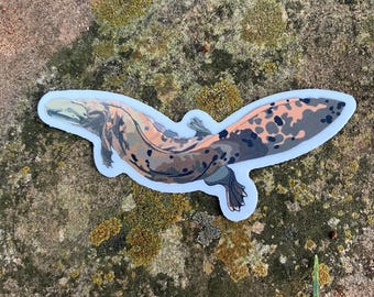 Eastern Hellbender Salamander Vinyl Dye-cut Sticker for Water Bottle ...