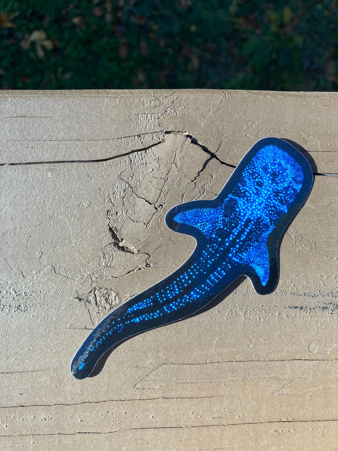 Bioluminescent Whale Shark Sticker: Glossy Vinyl Original Art - Etsy
