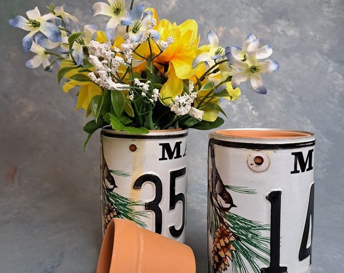 License Plate Planter, Random State, Handmade From Vintage American ...
