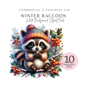 Watercolor Winter Raccoon Clipart: Woodland Animals Decor (digital ...