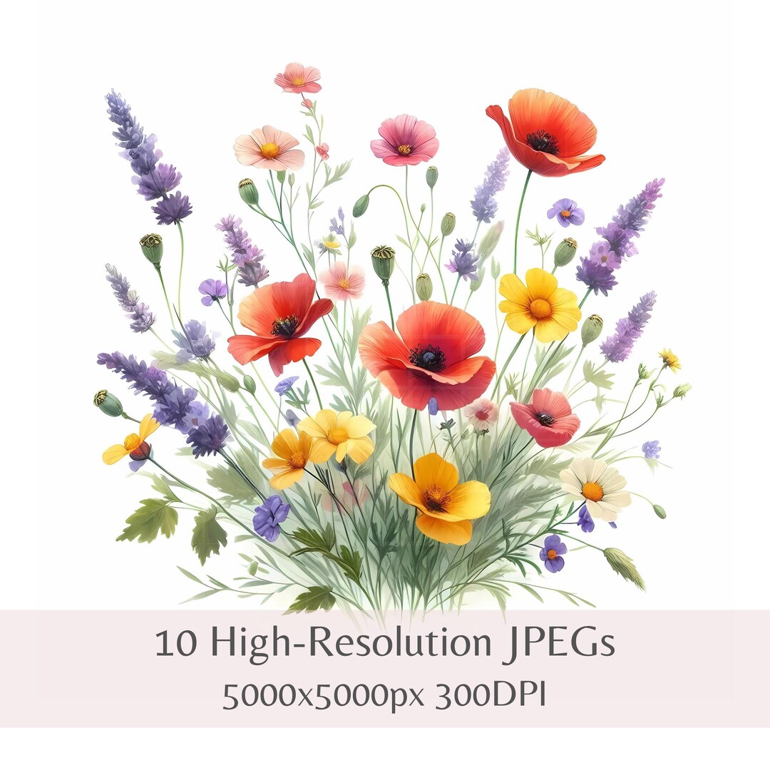 Watercolor Spring Wildflowers Clipart: Botanical Floral Jpegs (instant ...