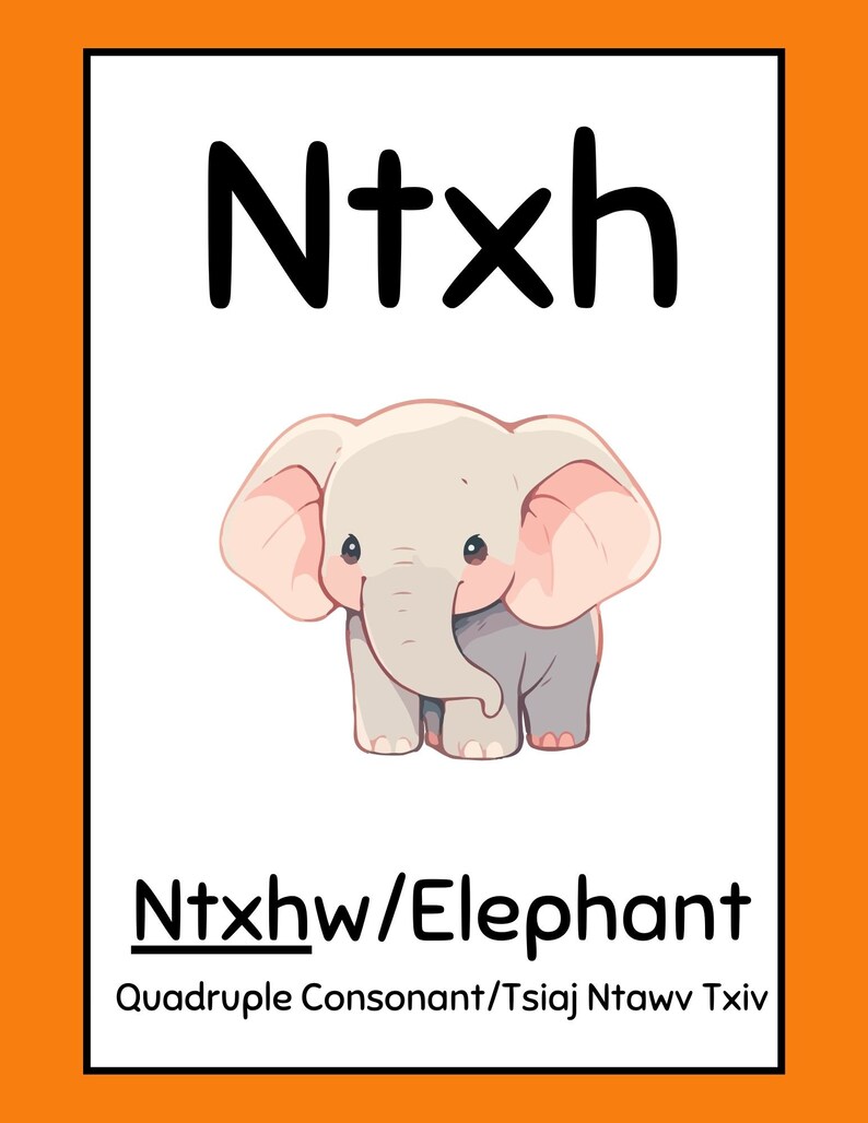 Hmong Triple and Quadruple Consonants Flash Cards Learning - Etsy