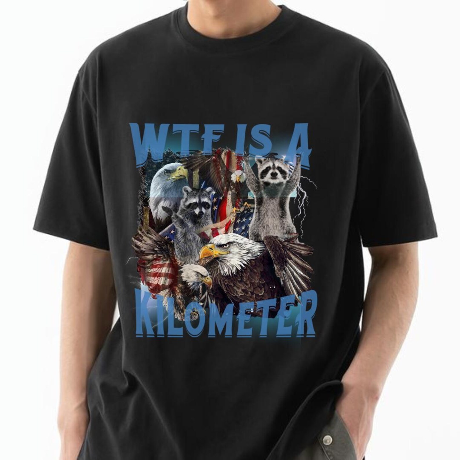 WTF is A Kilometer Meme Retro Shirt, Racoon Shirt, Funny Meme Vintage ...