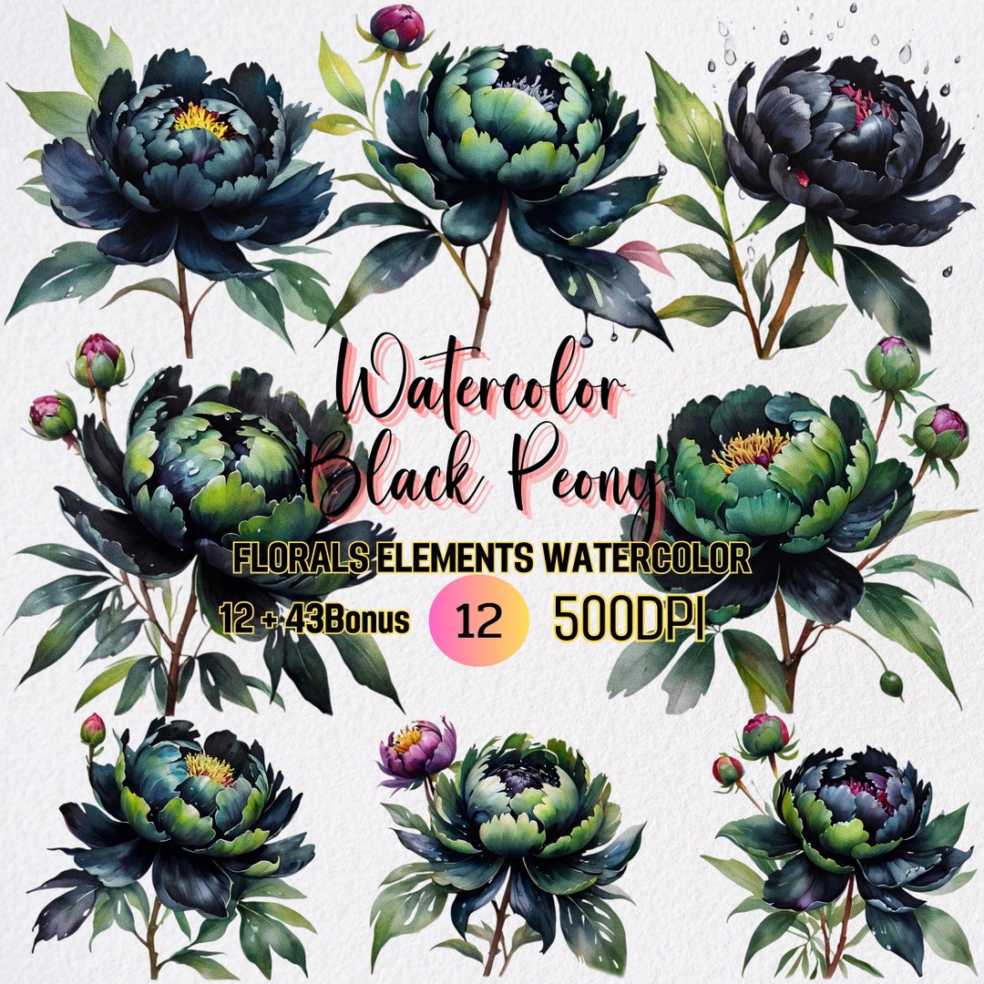 Black Peonies Clipart, Peony Watercolor Clipart, Peony Cement Texture ...