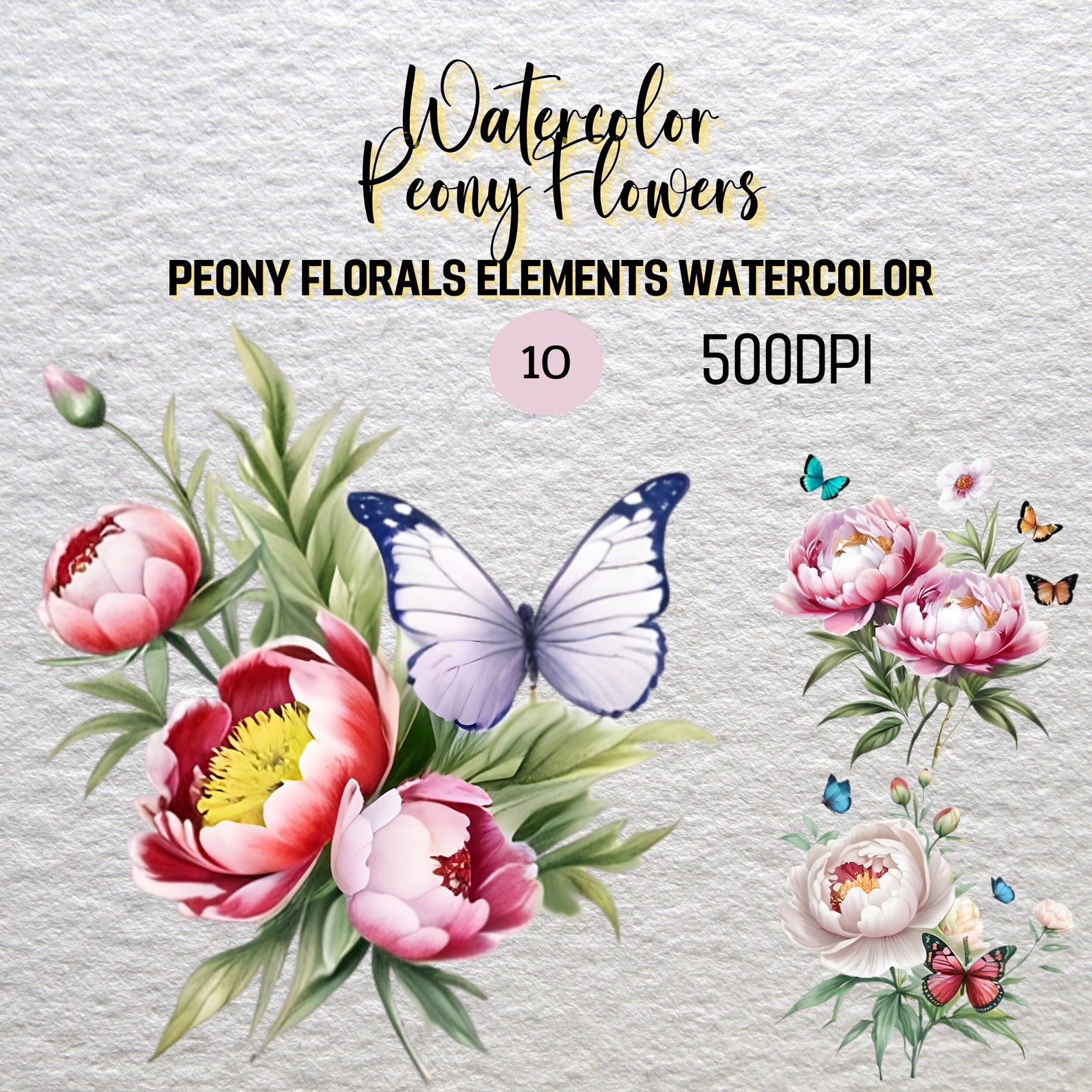 Pink Peonies Clipart Bundle, Watercolor Flowers Clipart, Valentines PNG ...