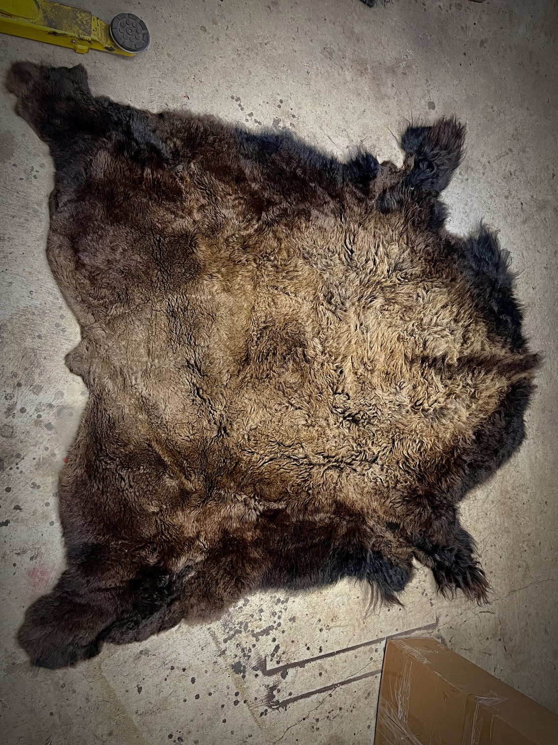 Bison Rug, Buffalo Rug, Buffalo Robe - Etsy