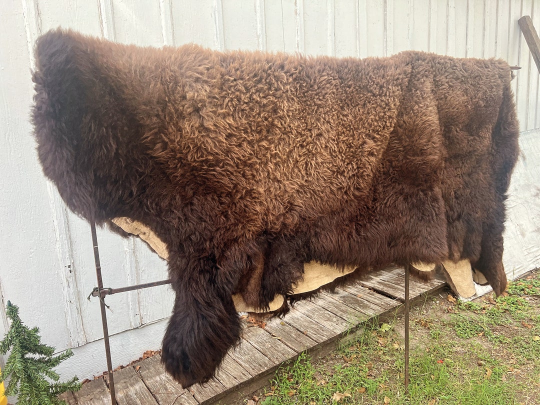 Bison Rug, Buffalo Rug, Buffalo Robe - Etsy