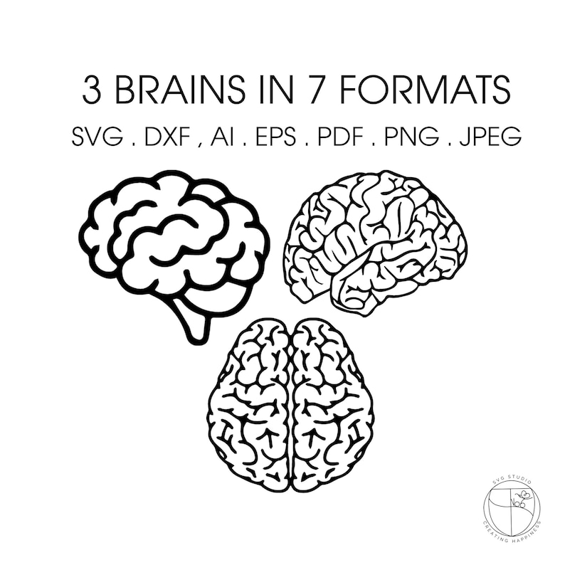 Brain SVG , Anatomy SVG, Medical SVG, Brain Cut File, Cricut Project - Etsy