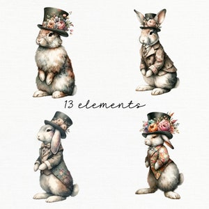 Vintage Rabbit Clipart | Easter Rabbit Wearing Dress| Elegant Bunny PNG ...