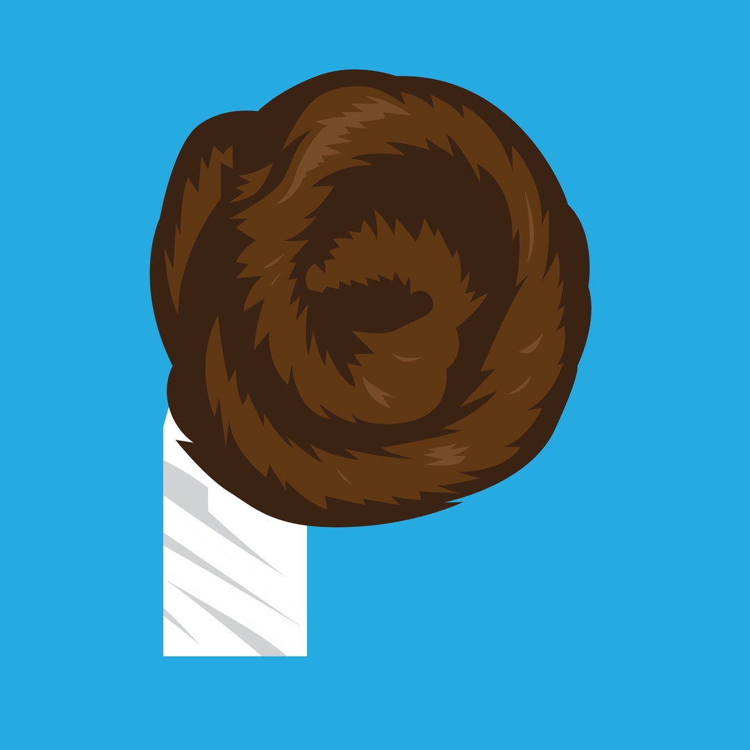 P for Princess Leia, Star Wars Alphabet - Etsy