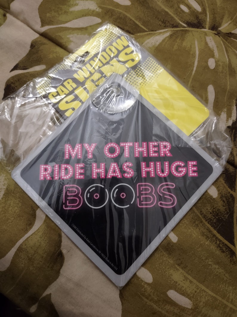 Funny Car Window Decal Sign for Men Women Suction Cup Decor - Etsy