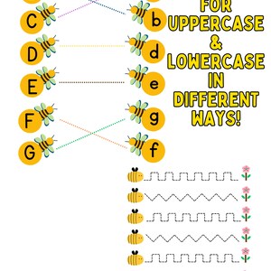 Fun Bee Preschool Workbook, Instant Download, Educational Coloring ...
