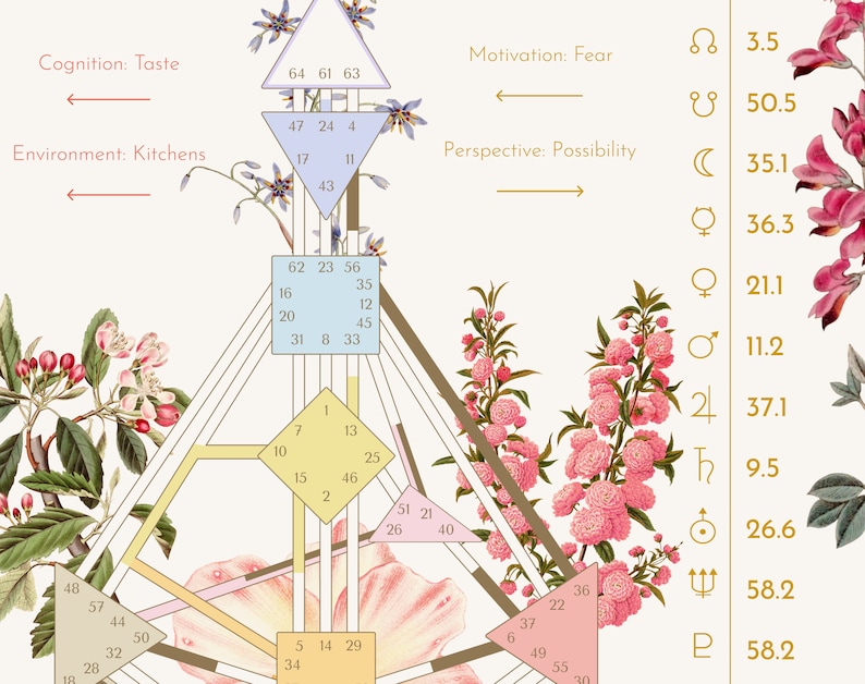 Human Design Customized Chart Poster - Etsy