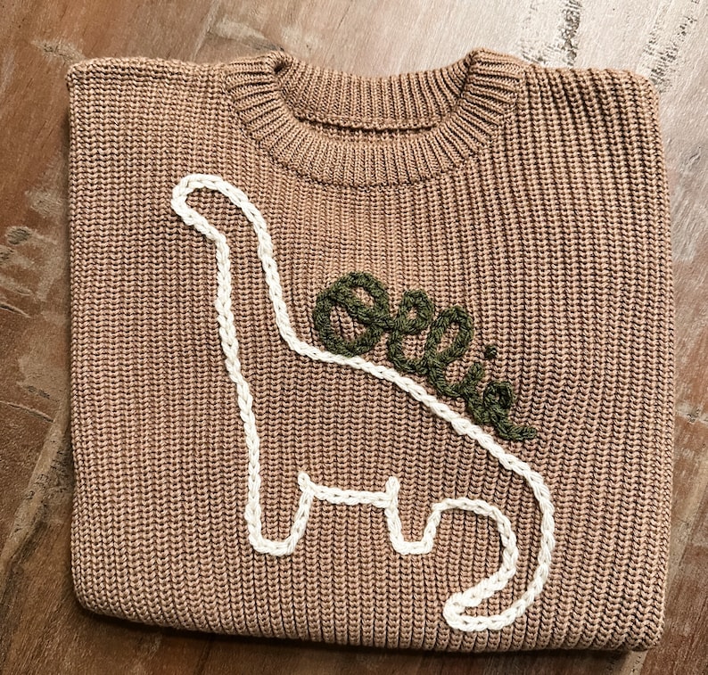 The Dino Sweater Hand Embroidered Baby Sweater - Etsy