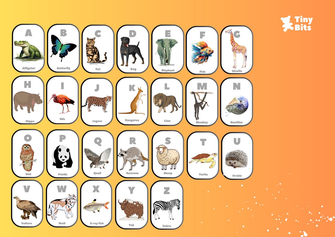 Flash Cards With Alphabet Letters animals, 78 ABC Flashcards, Alphabet ...