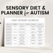 Printable Sensory Diet Planner for Autistic Kids & Adults | Daily ...