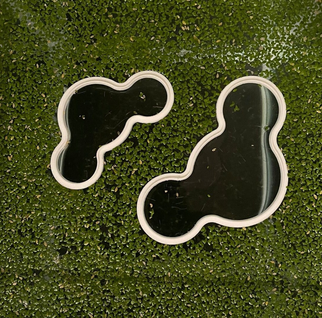 Floating Ring, Aquarium Fish Feeding Ring, 2 & 3 Inches - Etsy