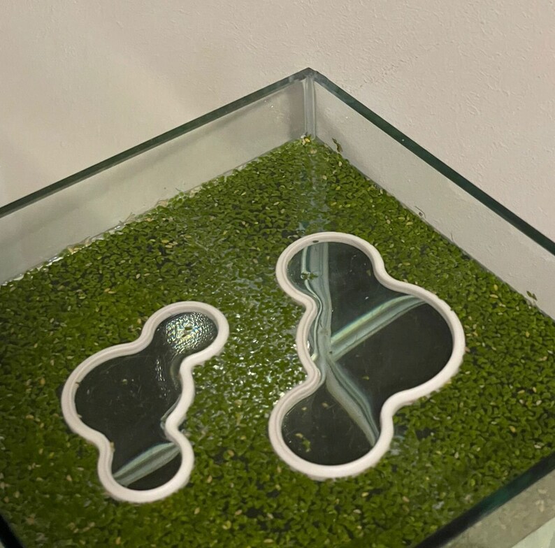 Floating Ring, Aquarium Fish Feeding Ring, 2 & 3 Inches - Etsy