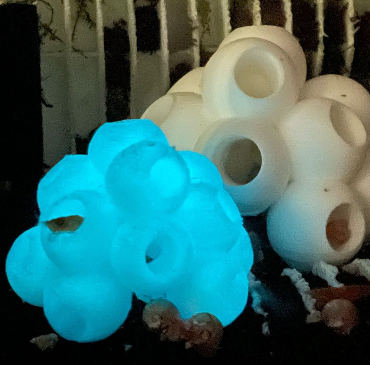Aquarium Luminous Shrimp Hide Home Cave 3D Printed Model - Etsy Singapore