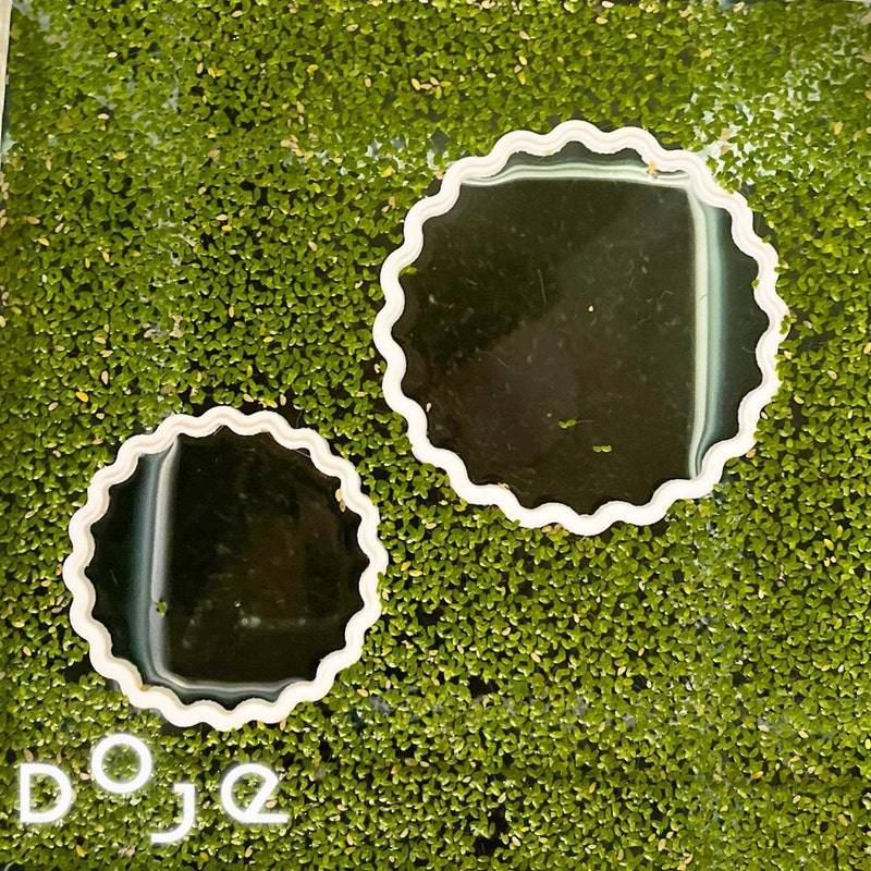 Aquarium Floating Ring - Etsy