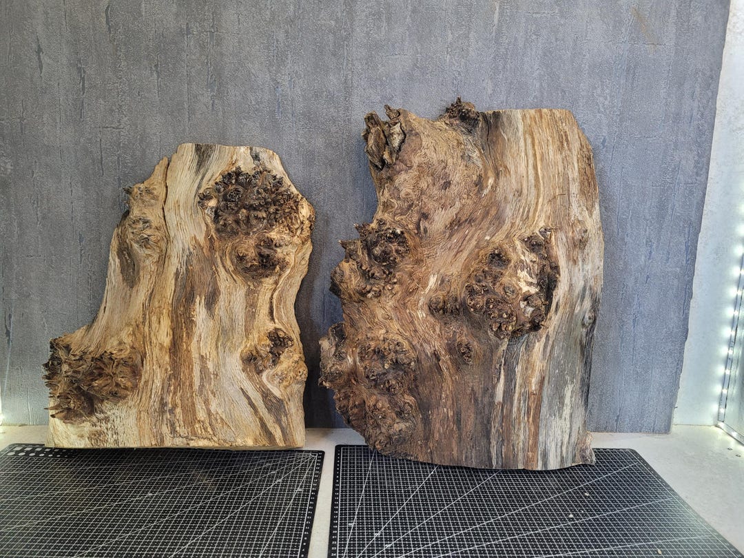 Root Wood Oak Live Edge Craft Board – Creative Wood Slab With Burl ...