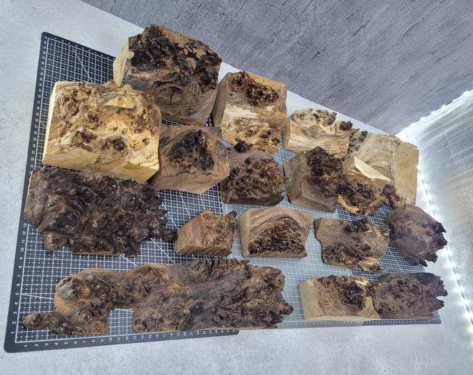 Root Wood Sections Set Live Edge Root Wood Creative Burl Buds Epoxy ...