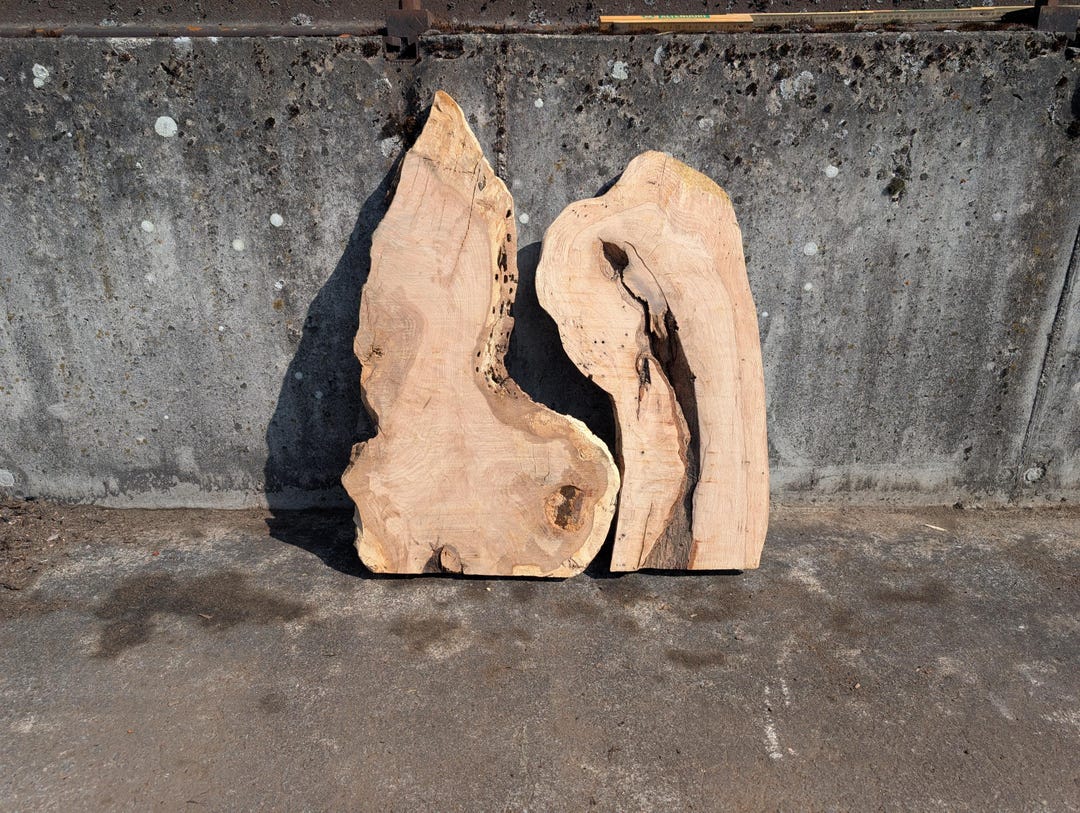 Rustic Tree Slices, Oak Wood Slices, Wooden Slabs, Garden Decorations ...