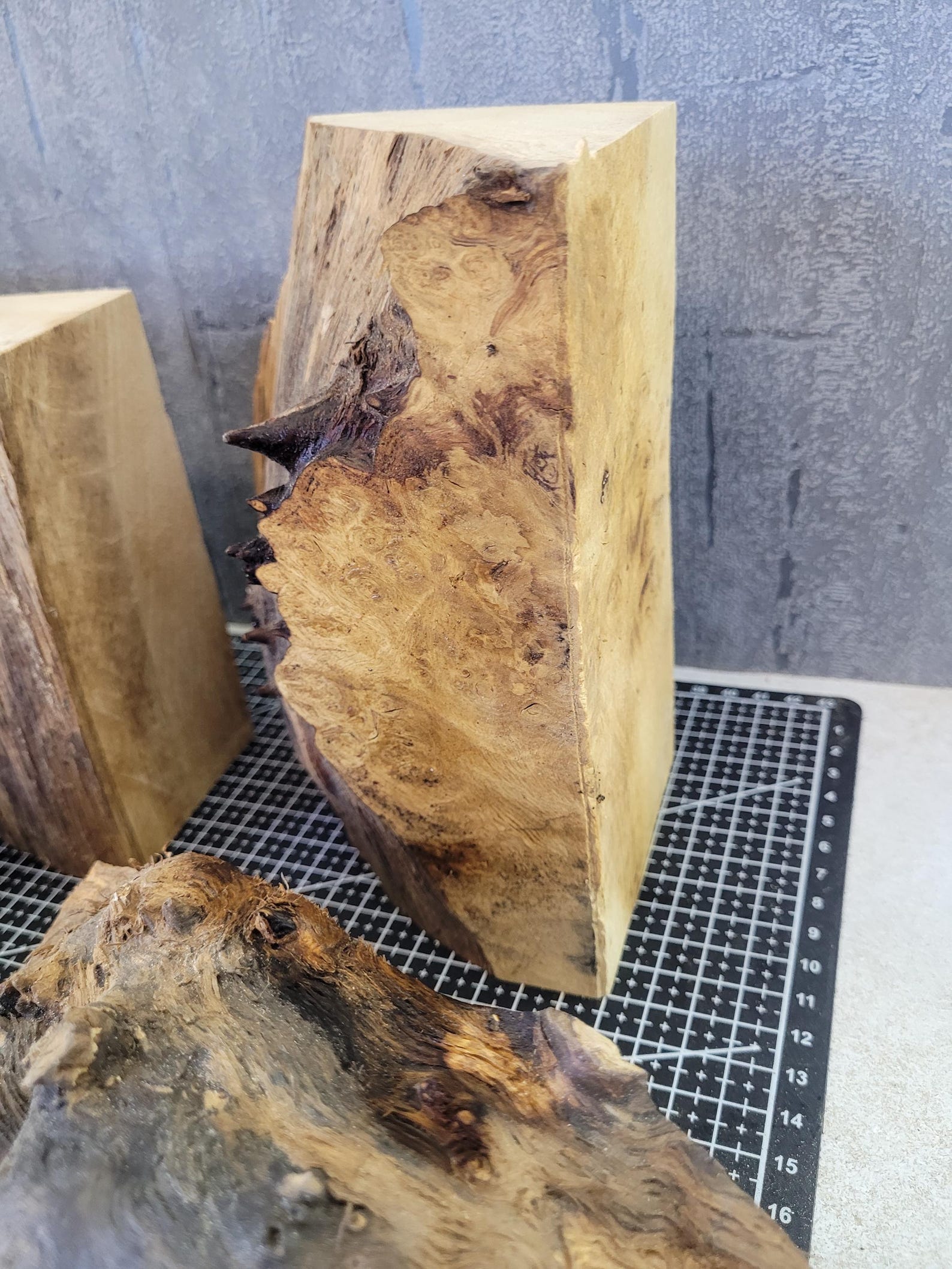 Root Wood Sections Set Live Edge Creative Burl Buds Epoxy Resin ...