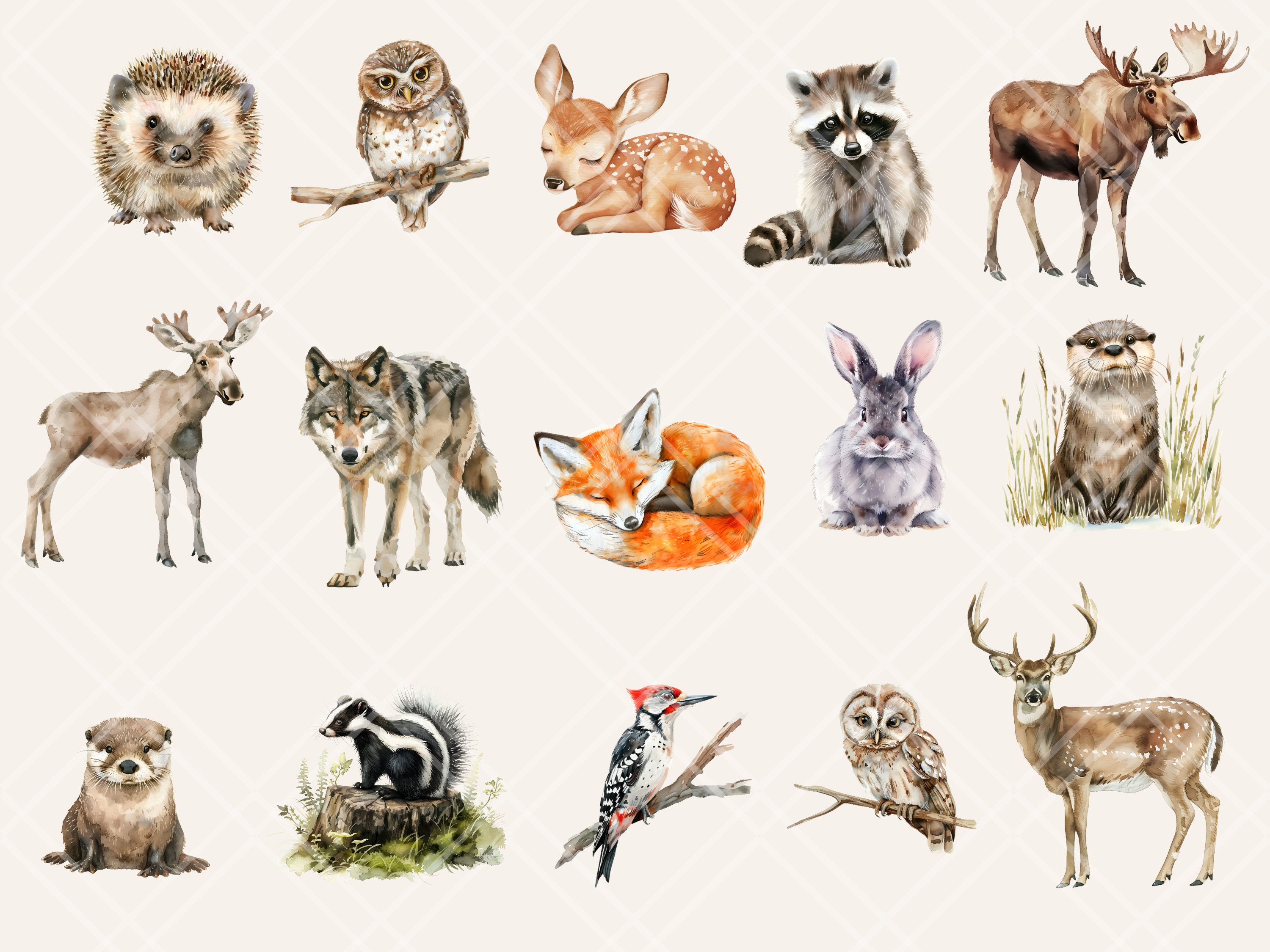 Woodland Animals Clipart, Watercolor Forest, Baby Woodland Animals ...