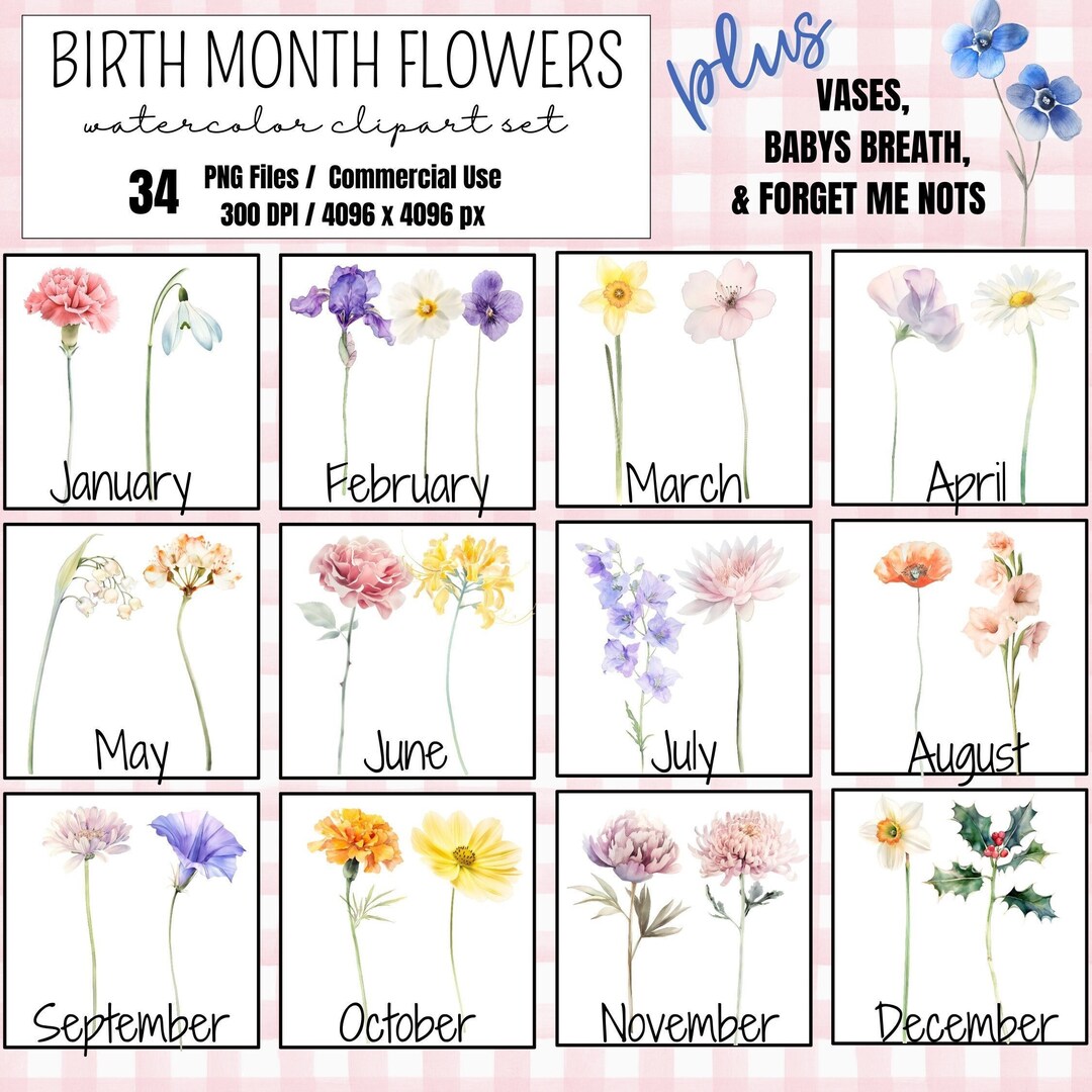 Birth Month Flowers Clipart Set With Flower Vases, Watercolor Flowers ...