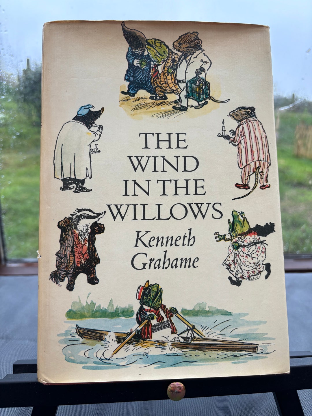 The Wind in the Willows, 1980 First Colour Illustrated Edition - Etsy