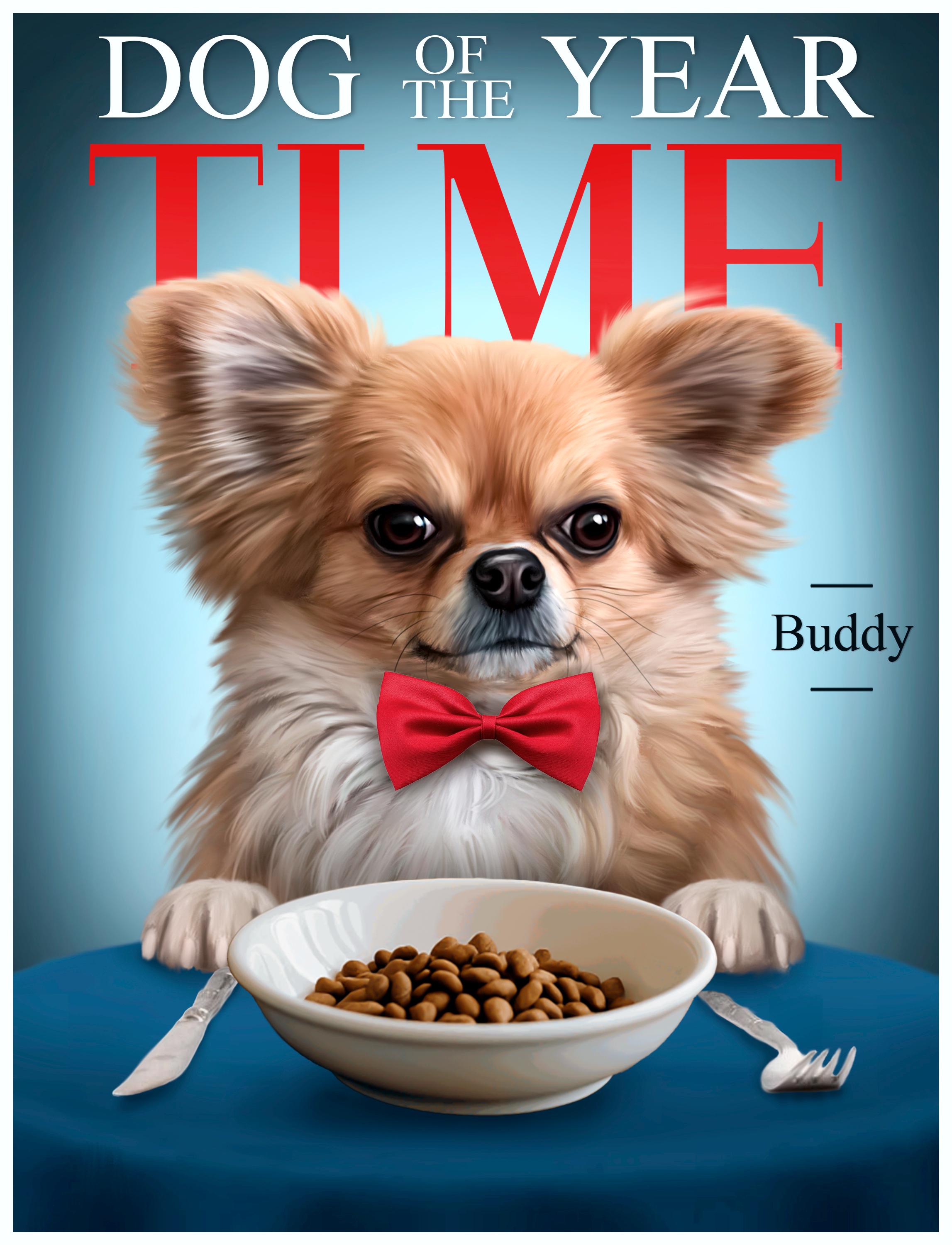 Pet Magazine Cover, Custom Pet Portrait From Photo , Dog in Glossy ...