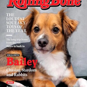 Custom Pet Portrait, Unique Pet Magazine Cover, Personalized Dog in ...