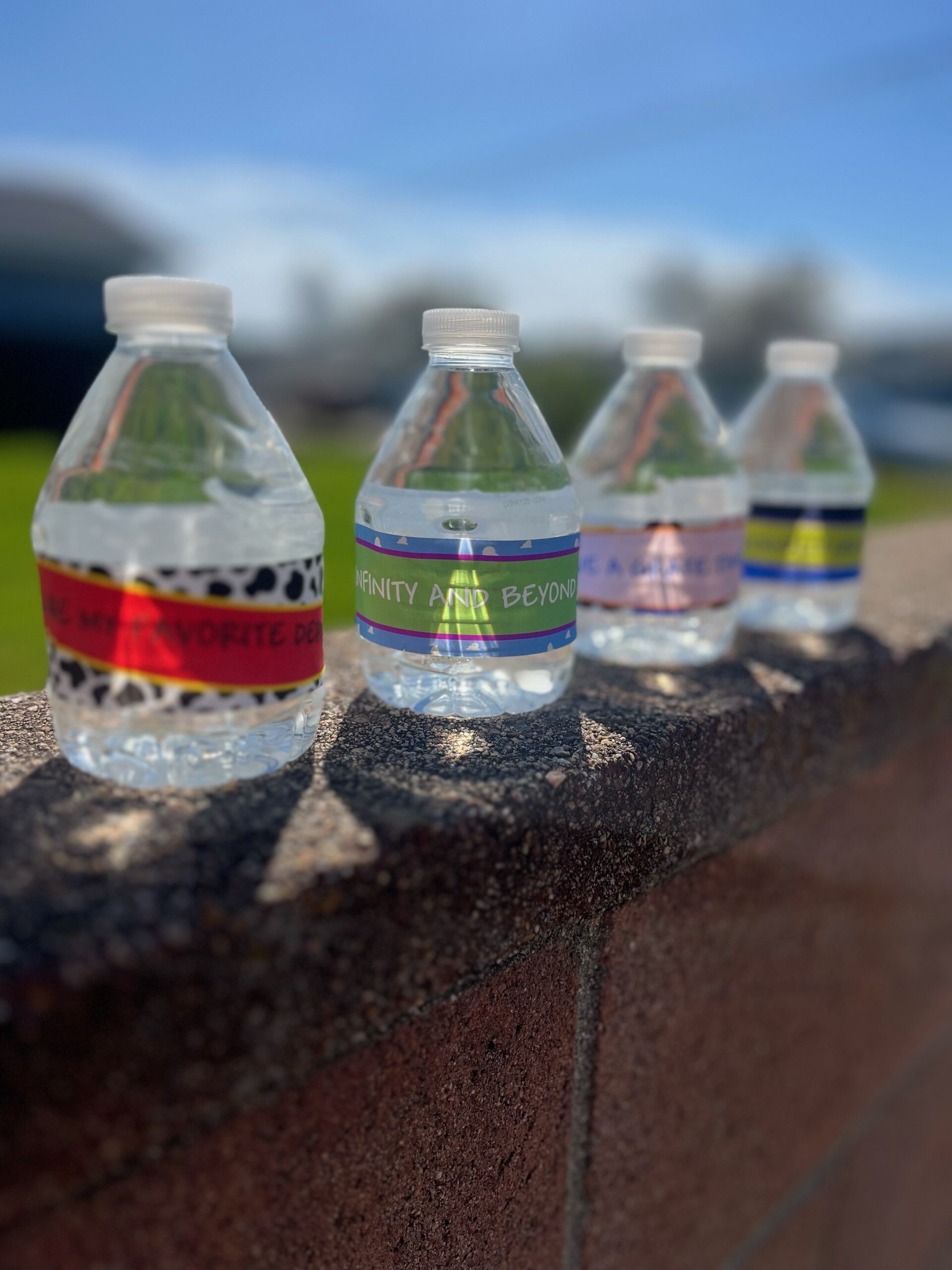 Toy Story Water Bottle Labels! - Etsy