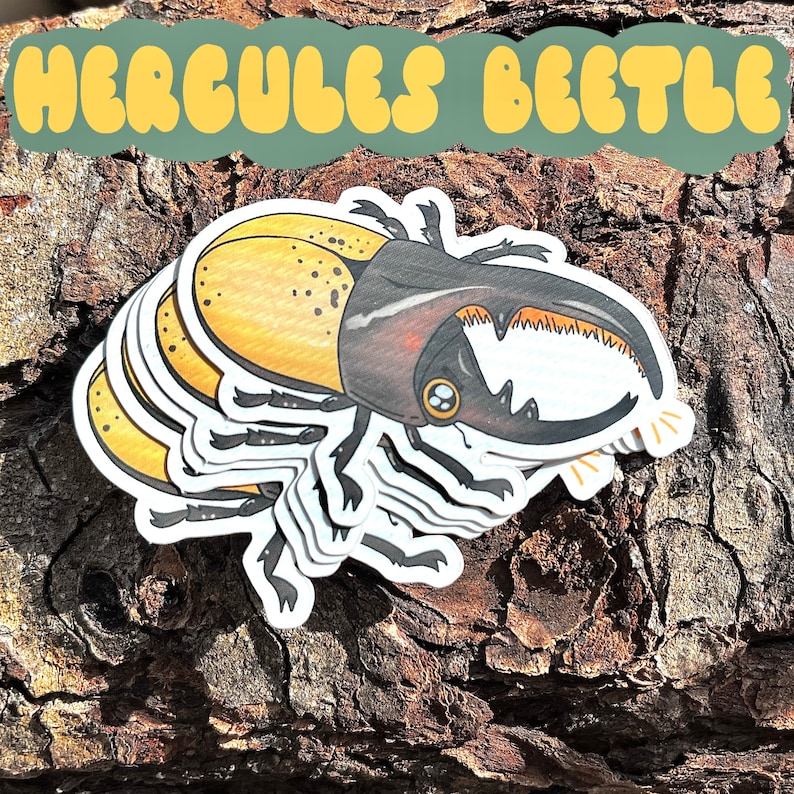 Hercules Beetle Sticker / Vinyl Decal Beetle Sticker / Waterproof Vinyl ...